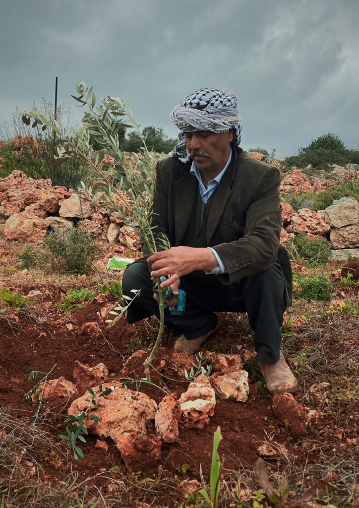 Planting Trees and Nurturing Roots in Palestine – Middle East Children ...