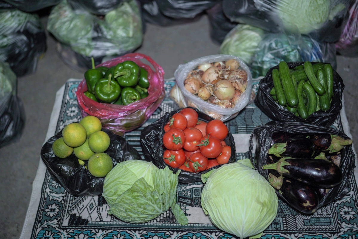 A new and terrifying food emergency in Gaza! You can help – Middle East ...